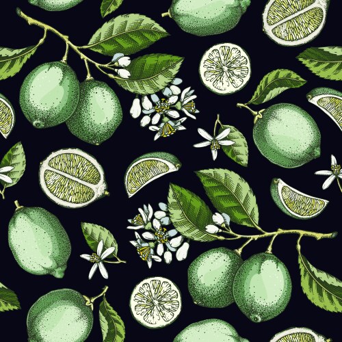 Citrus Fruit Vector Images (over 85,000)
