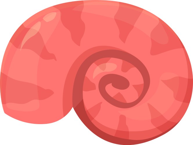 Pink seashell showing spiral pattern of mollusc Vector Image