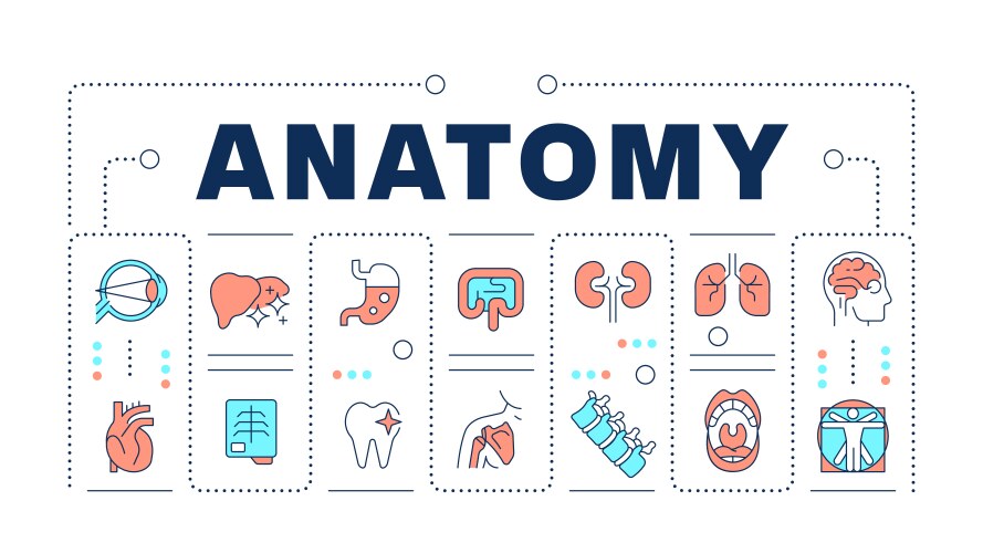 Mathematics word concepts banner presentation Vector Image