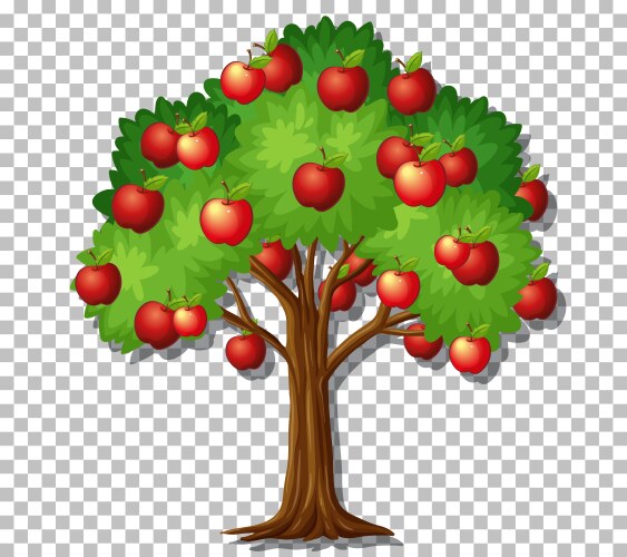 Apple tree on white background Royalty Free Vector Image