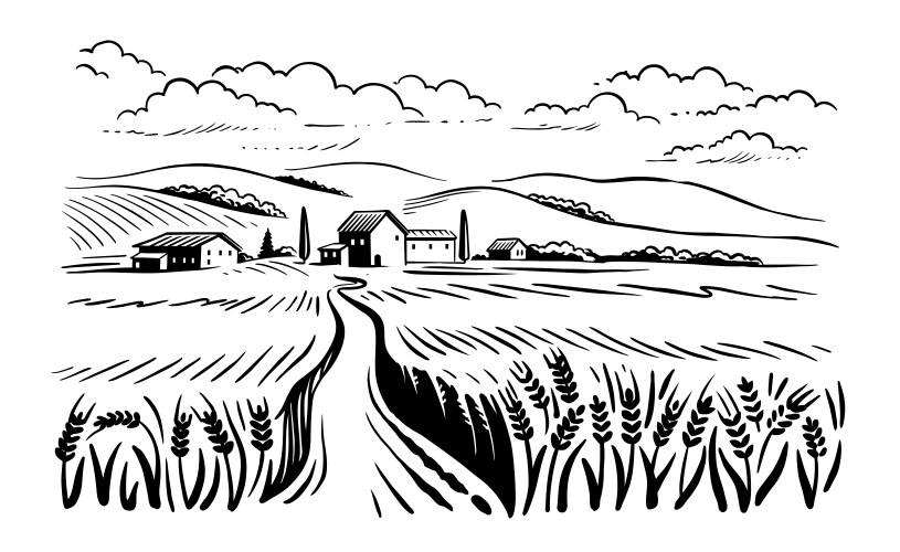 Field of wheat hops nature background Royalty Free Vector