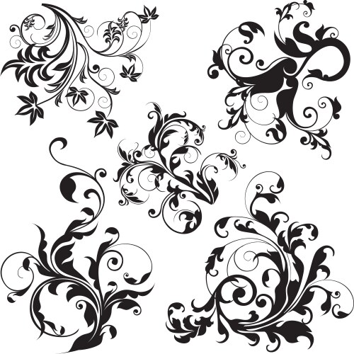 Floral design elements Royalty Free Vector Image