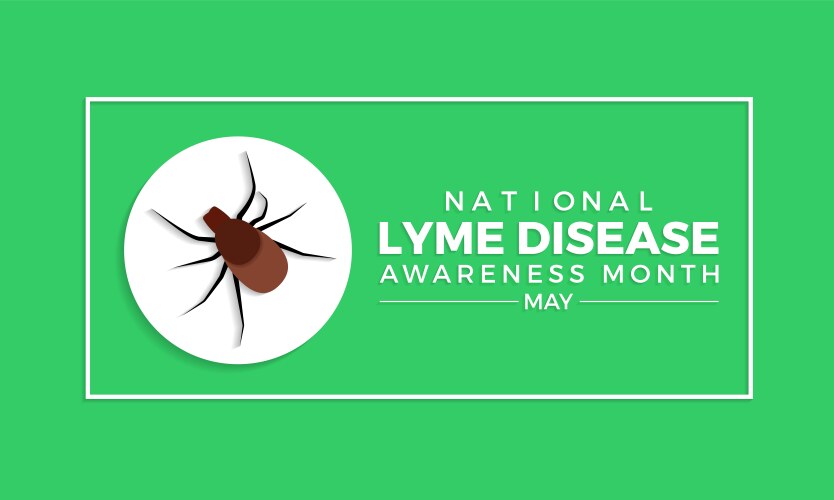 National lyme disease awareness month health Vector Image