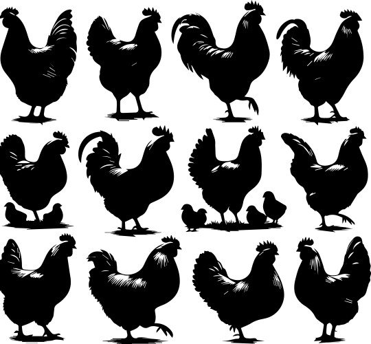 Hen Vector Images (over 44,000)