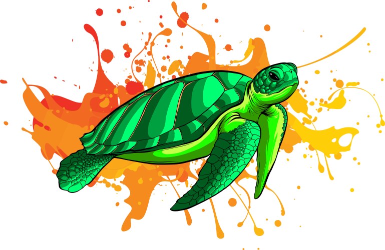 Realistic Turtle Vector Images (over 310)
