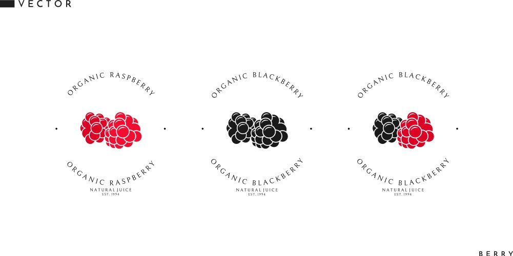 Raspberry seamless pattern drawing Royalty Free Vector Image