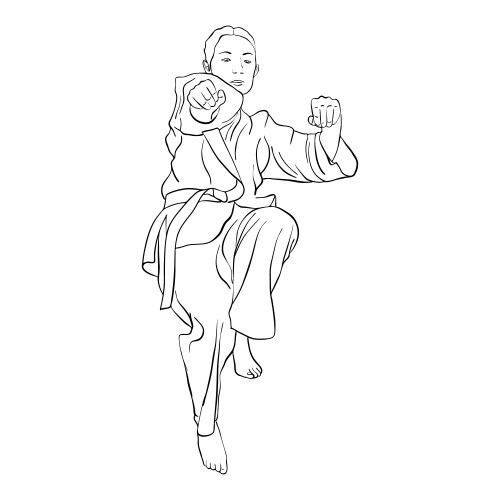 Karate stance girl Royalty Free Vector Image - VectorStock