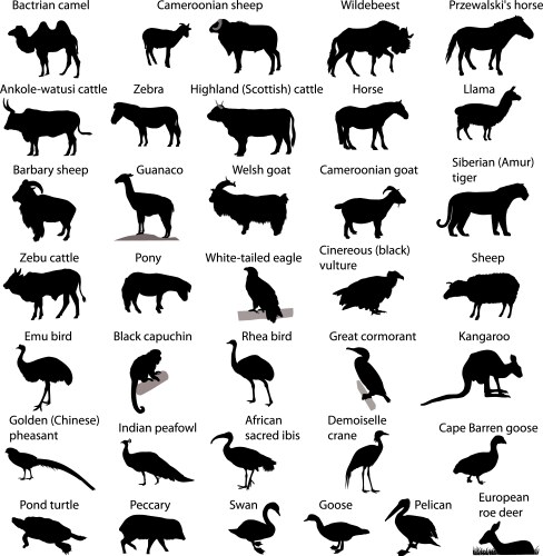 Animals Vector Images (over 2.2 million)