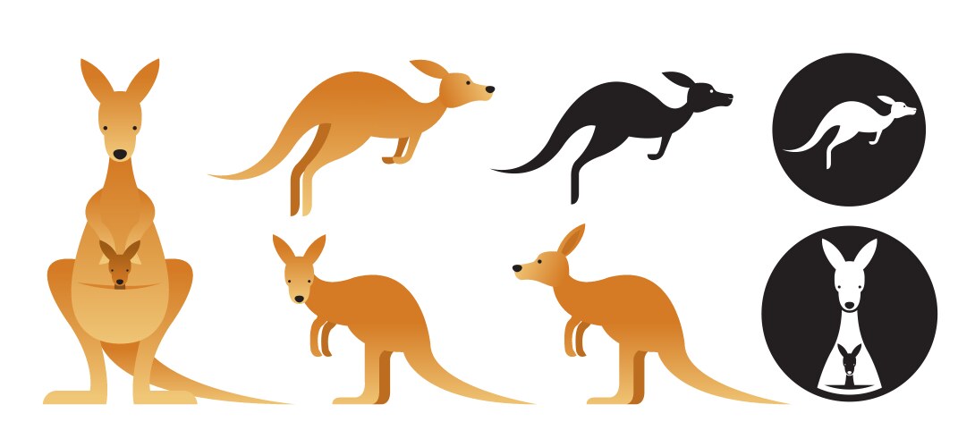 Kangaroo Vector Images (over 15,000)
