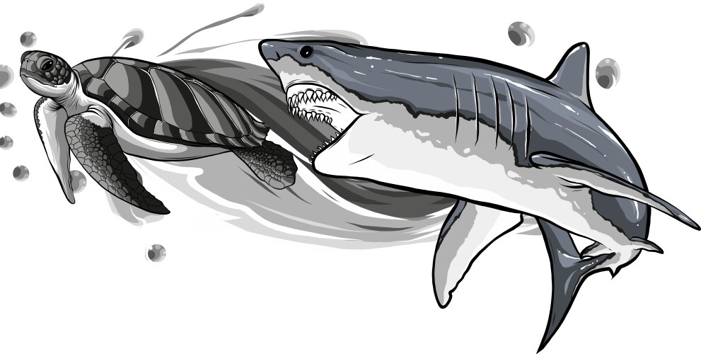 Sea Turtle Shark Vector Images (over 2,600)