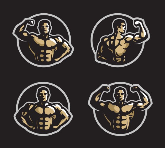 Buff bodybuilding squirrel Royalty Free Vector Image