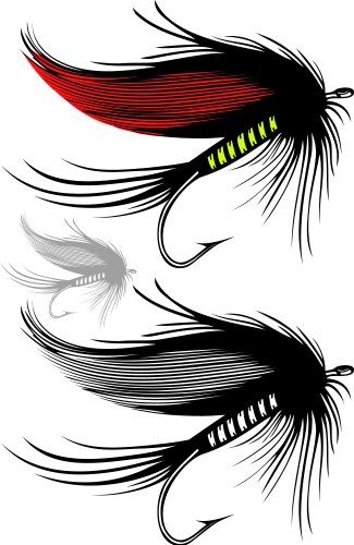 Dry fly Royalty Free Vector Image - VectorStock