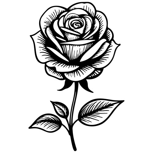 Rose One Line Drawing Vector Images (over 2,200)