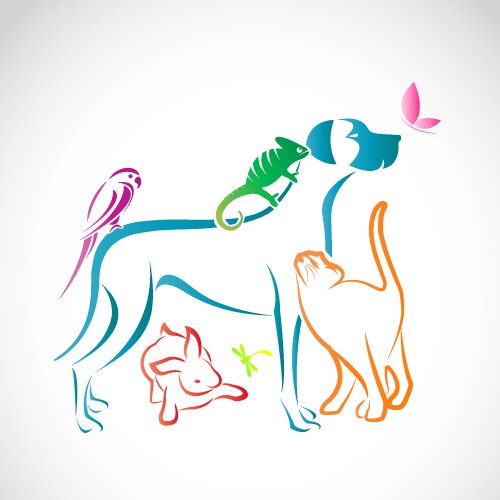 Group pets - horse dog cat humming bird parrot Vector Image