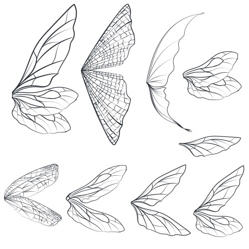 Butterfly Girl Logo Wings Vector Images (over 1,600)