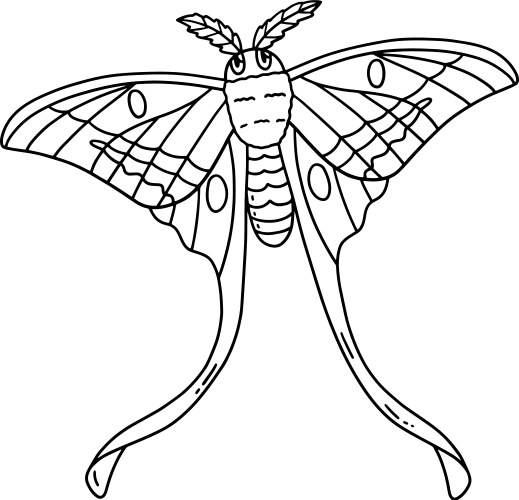 Insect luna moth animal coloring page for kids Vector Image