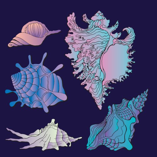 Sea Shells Vector Images (over 65,000)