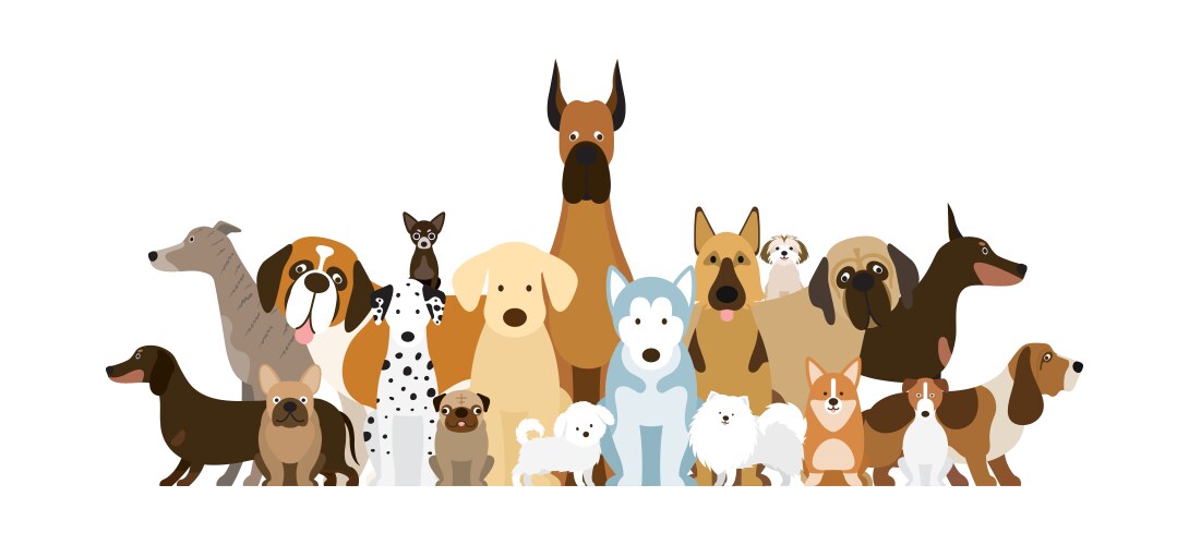 Group of dog breeds Royalty Free Vector Image - VectorStock