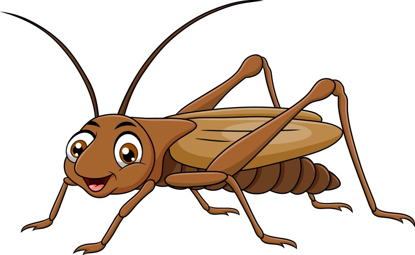 Duck cartoon Royalty Free Vector Image - VectorStock