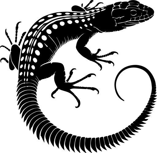 Lizard Vector Images (over 35,000)