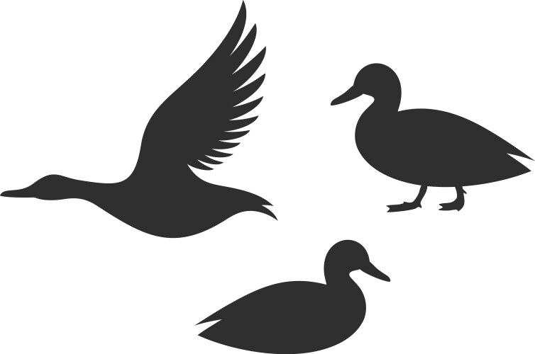 Duck Vector Images (over 61,000)