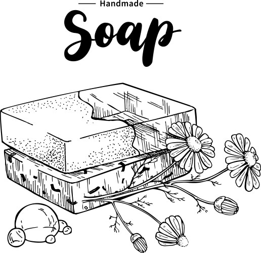 Handmade natural soap hand drawn Royalty Free Vector Image