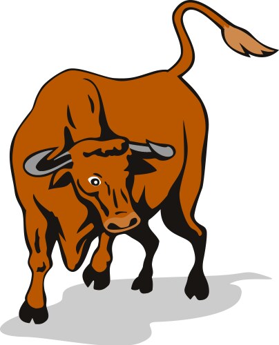 Cartoon red bull attack Royalty Free Vector Image