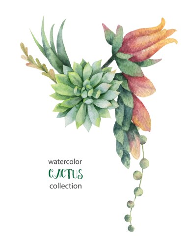 Succulent Vector Images (over 46,000)
