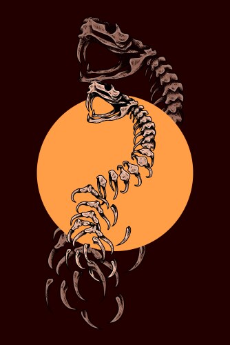 Skull with snake hand drawing Royalty Free Vector Image