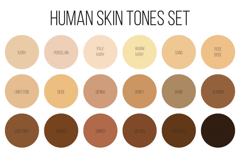 Skin human various body tones chart Royalty Free Vector Skin human various body tones chart Royalty Free Vector