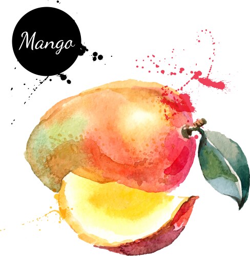 Mango Black and White Vector Images (over 5,900)