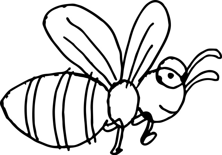 Bee Line Drawing Vector Images (over 6,000)