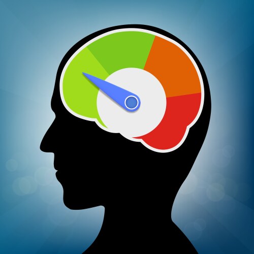 3d realistic human model head without face Vector Image