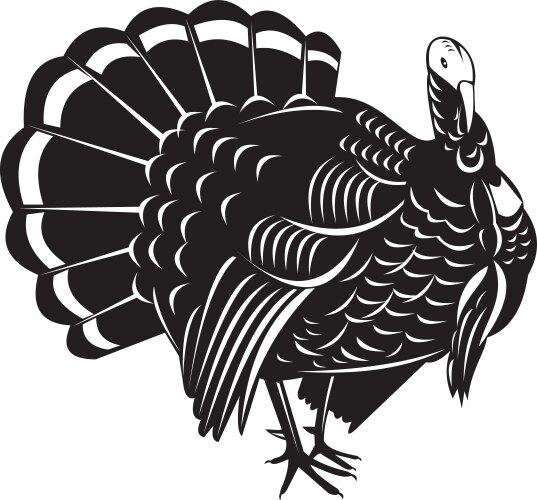 Turkey Vector Images (over 83,000)