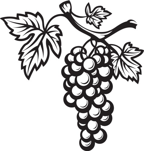 Vineyard fusion grapevine black iconic symbol Vector Image