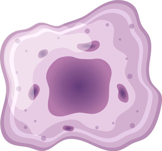 Cancer Cell Cartoon Vector Images (over 2,400)