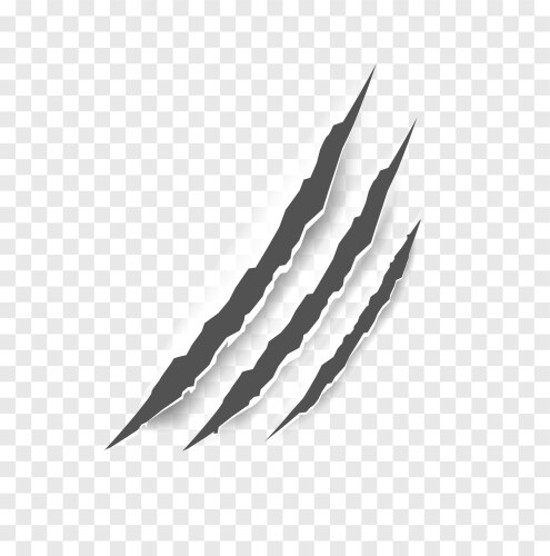 Black claw scratches - isolated claws Royalty Free Vector