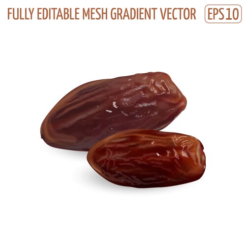 Sketch drawing dates fruits in clay bowl healthy Vector Image