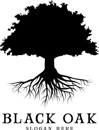 Oak Tree Logo Vector Images (over 12,000)