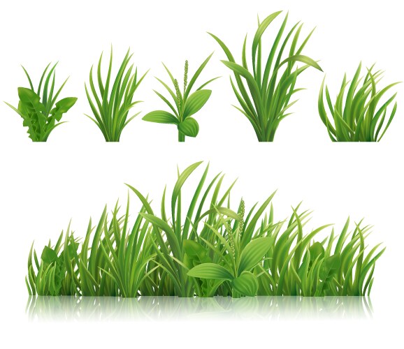 Grass Vector Images (over 390,000)