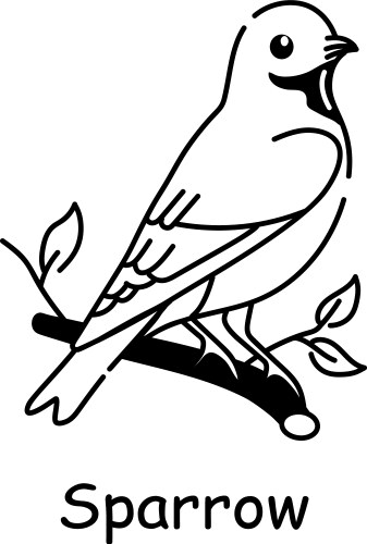 Sparrow Vector Images (over 11,000)