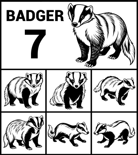 Badger Vector Images (over 3,100)