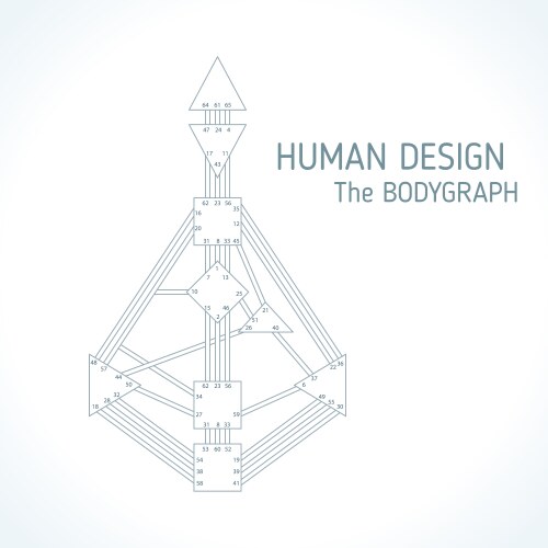Human design bodygraph chart Royalty Free Vector Image