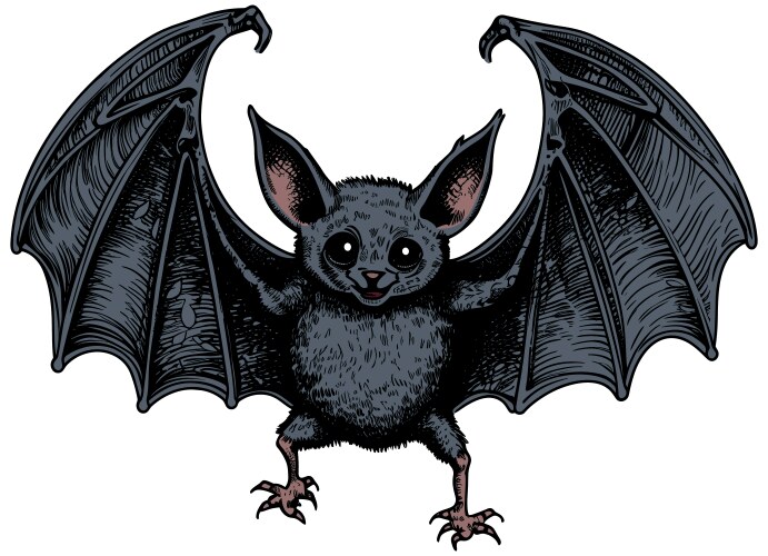 Bat Wing Vector Images (over 11,000)