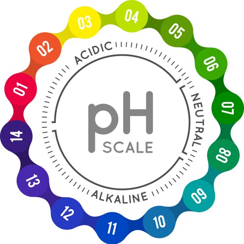 Ph meter for measuring acid alkaline balance Vector Image