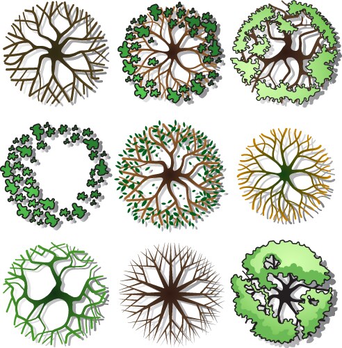 Tree plan top view set 7 Royalty Free Vector Image
