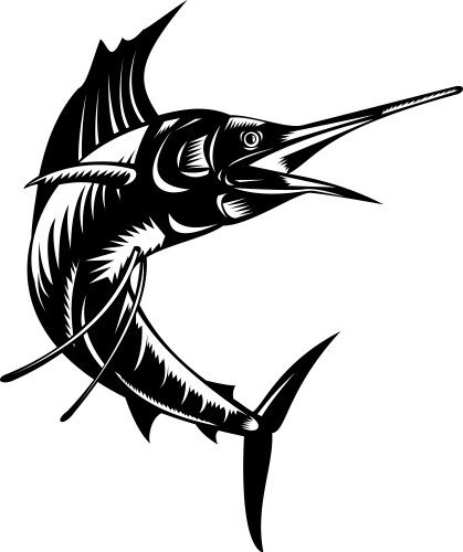 Sailfish Vector Images (over 2,400)