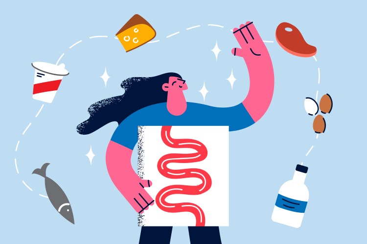 Cartoon Digestive System Vector Images (over 4,800)