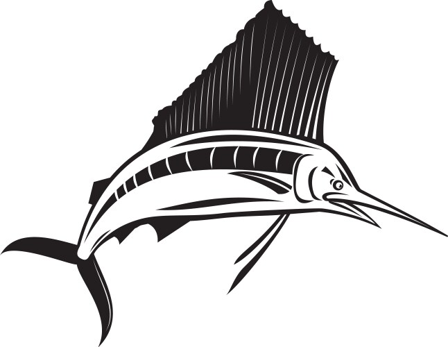 Sailfish Vector Images (over 2,200)
