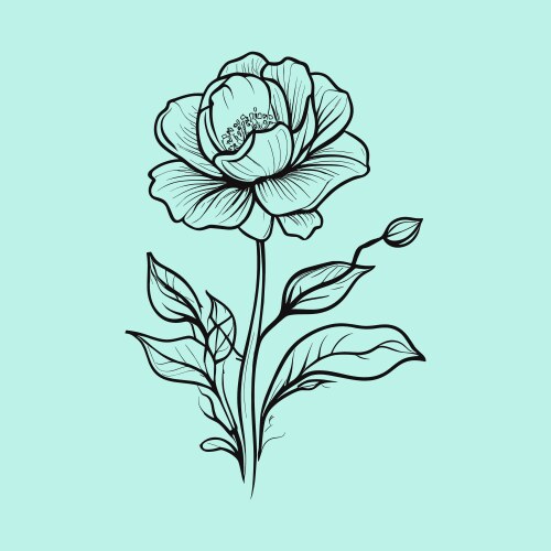 Rose Stem Line Drawing Vector Images (over 2,700)